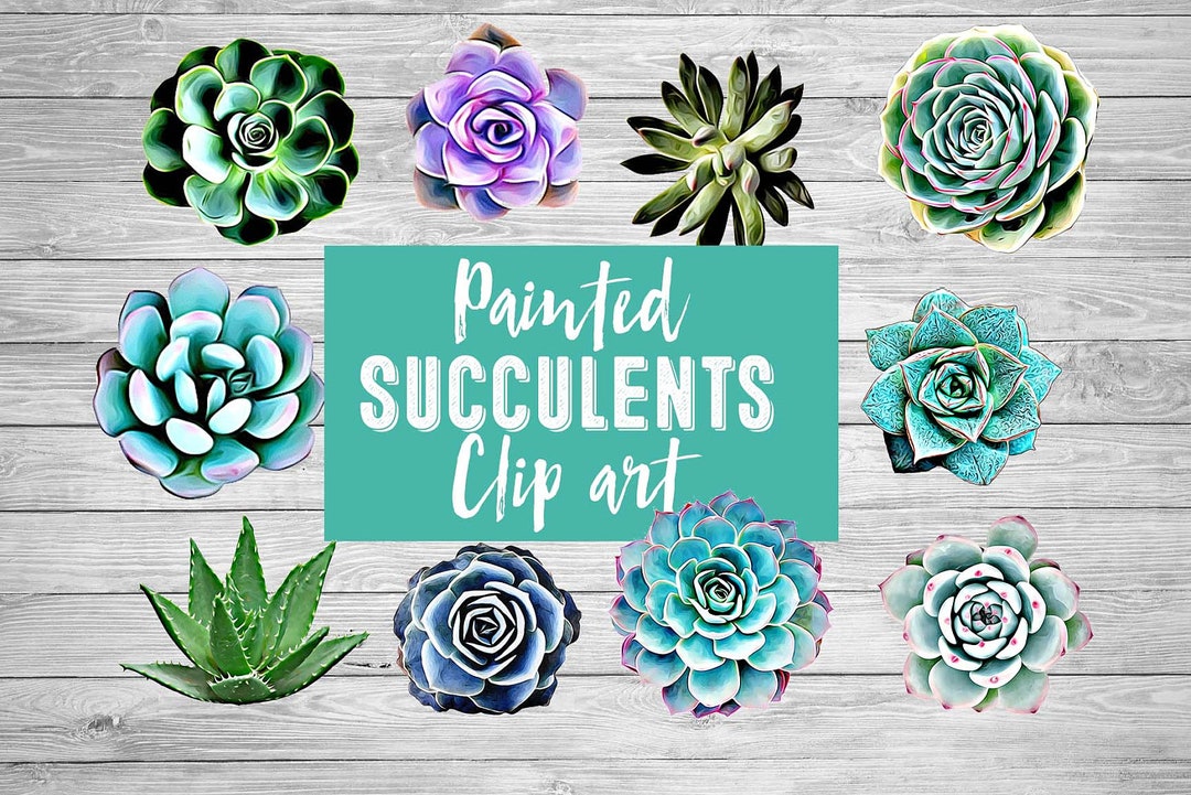 Succulents Digital Clip Art Watercolor 19 Painted Succulents Cactus ...