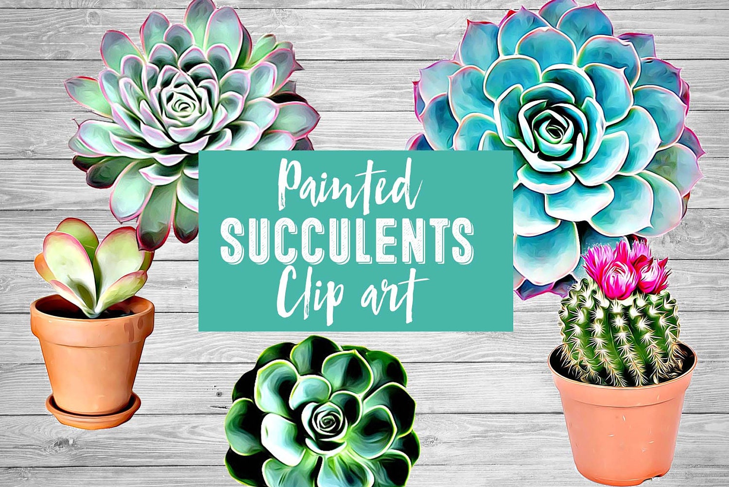 Succulents Digital Clip Art Watercolor 19 Painted Succulents | Etsy