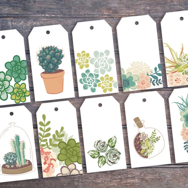 Succulent Gift Tag - 60+ Gift Ideas for 2025