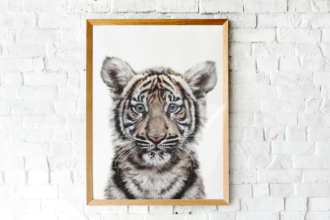 Baby Tiger Art Print | Printable Cute Baby Animal | Nursery Decor - Etsy