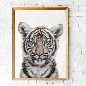 Baby Tiger Art Print | Printable Cute Baby Animal | Nursery Decor - Etsy