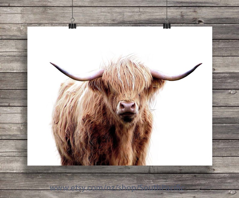 Highland Cow Art Print Printable Art Sepia Cow Horns Photo - Etsy