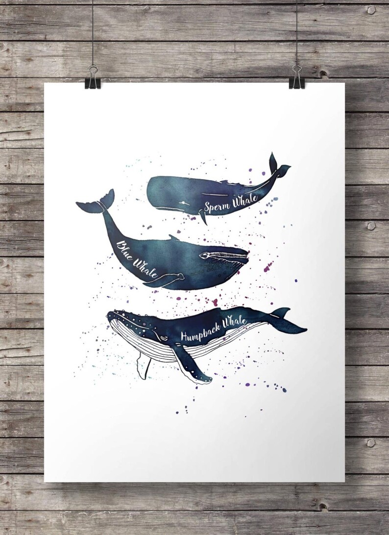 Whales Watercolor Printable art Nautical print Blue navy ink | Etsy
