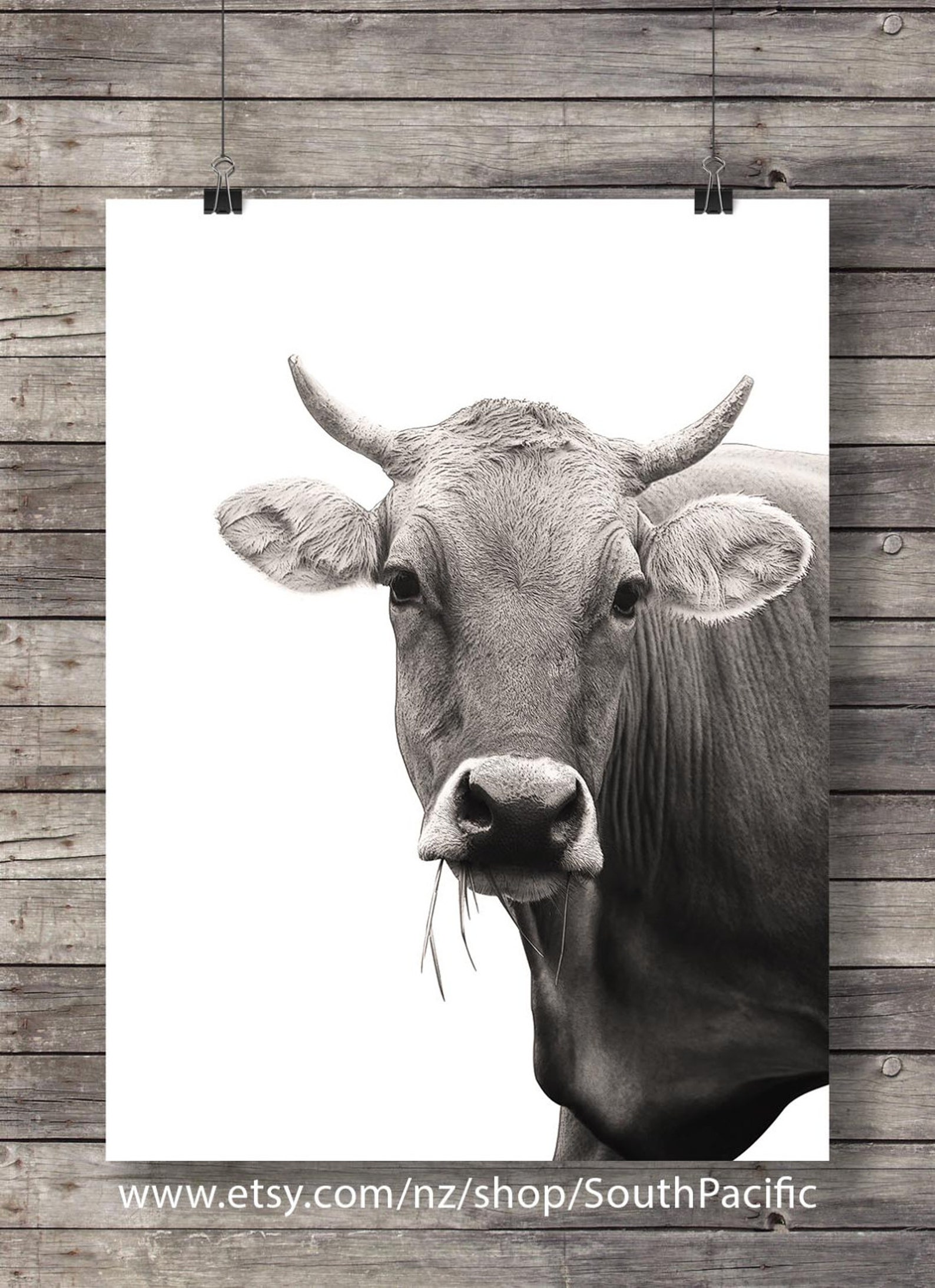 Cow art print Printable art Cow face Sepia Cow photo Printable | Etsy