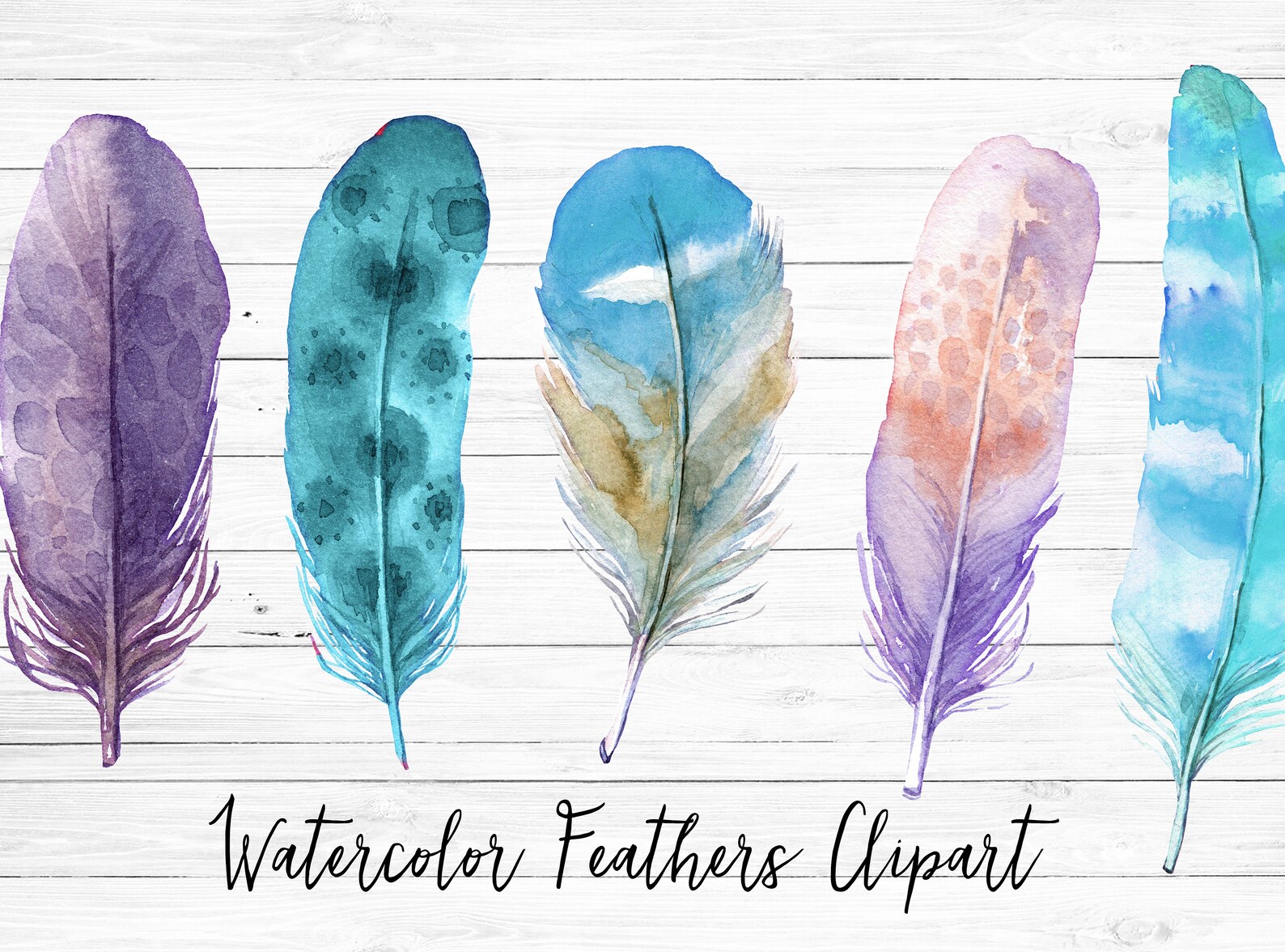 Watercolor Feathers Clip Art Hand Painted Feathers Instant | Etsy
