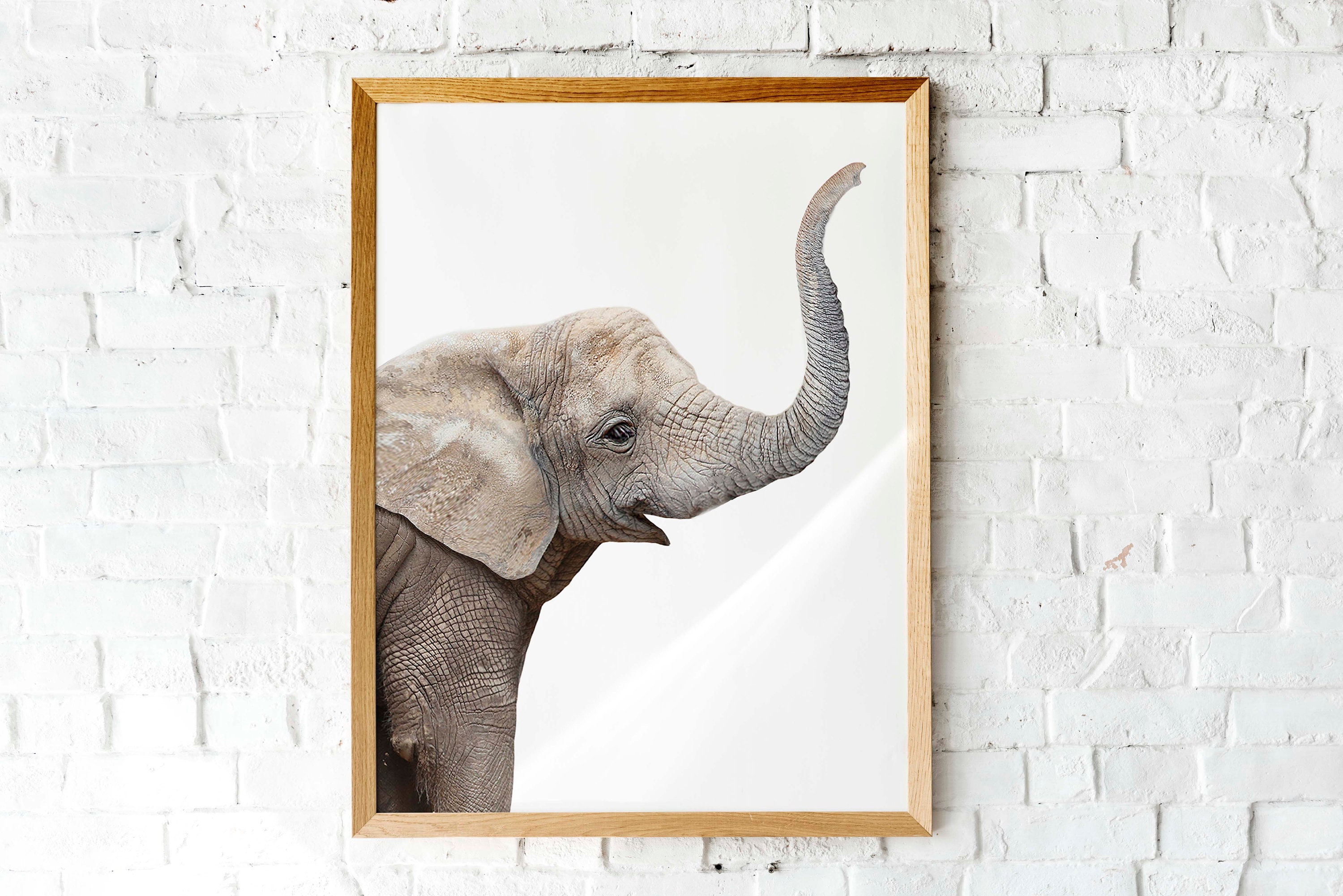 Baby Elephant Art Print | Printable Cute Baby Animal | Nursery Decor - Etsy