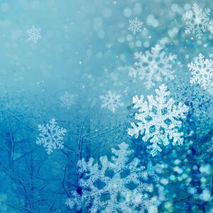 Winter Theme Backgrounds, Icy Frozen Winter Snowflake Theme, 12x12 ...