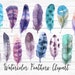 Watercolor Feathers Clip Art Hand Painted Feathers Instant - Etsy