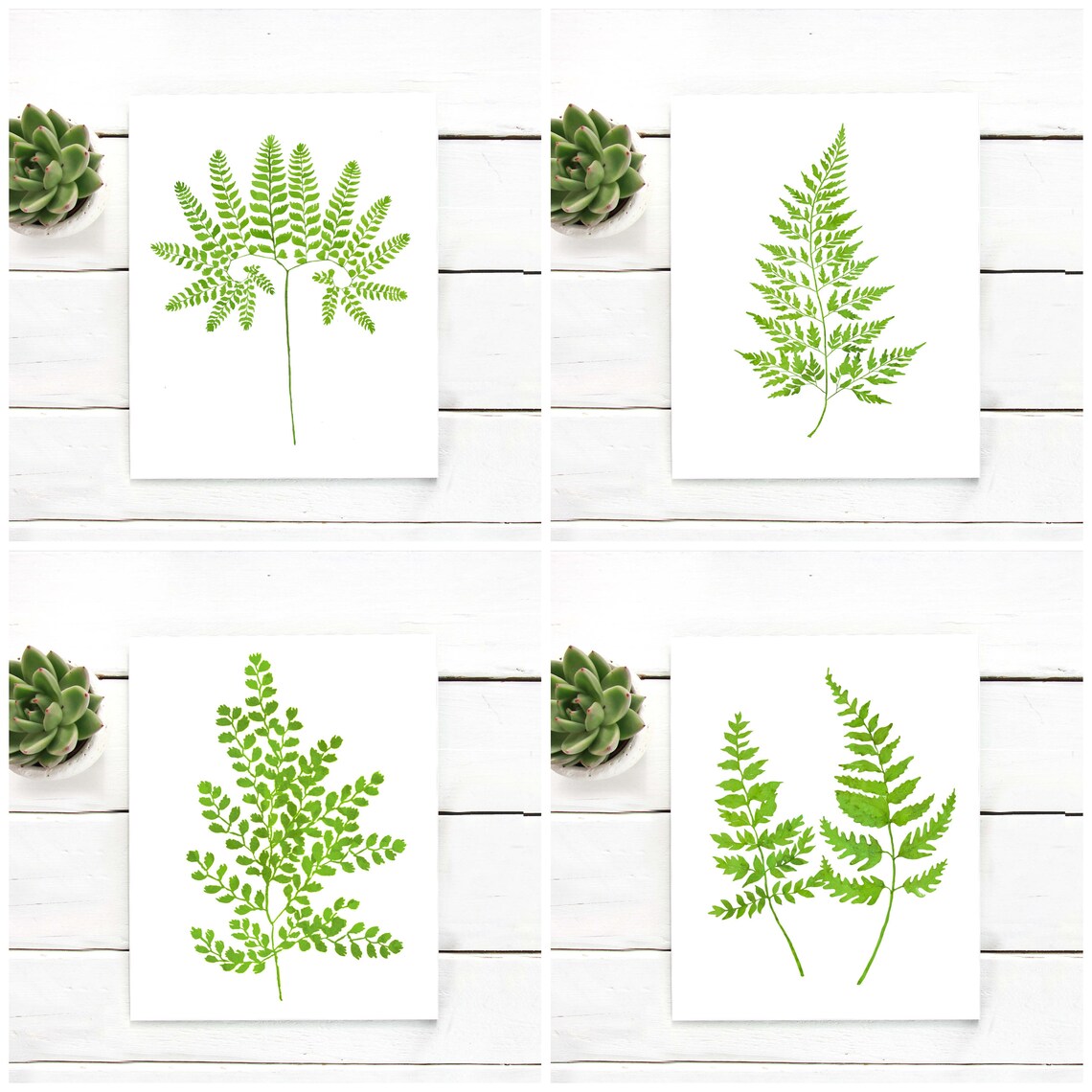 Fern Prints Printable Art Set of 4 Watercolor Green Fern Leaf - Etsy