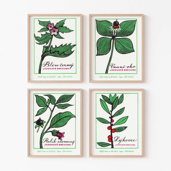 Poison Plants Print - Etsy