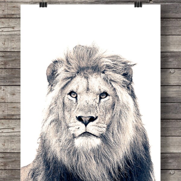 Lion Printable - Etsy