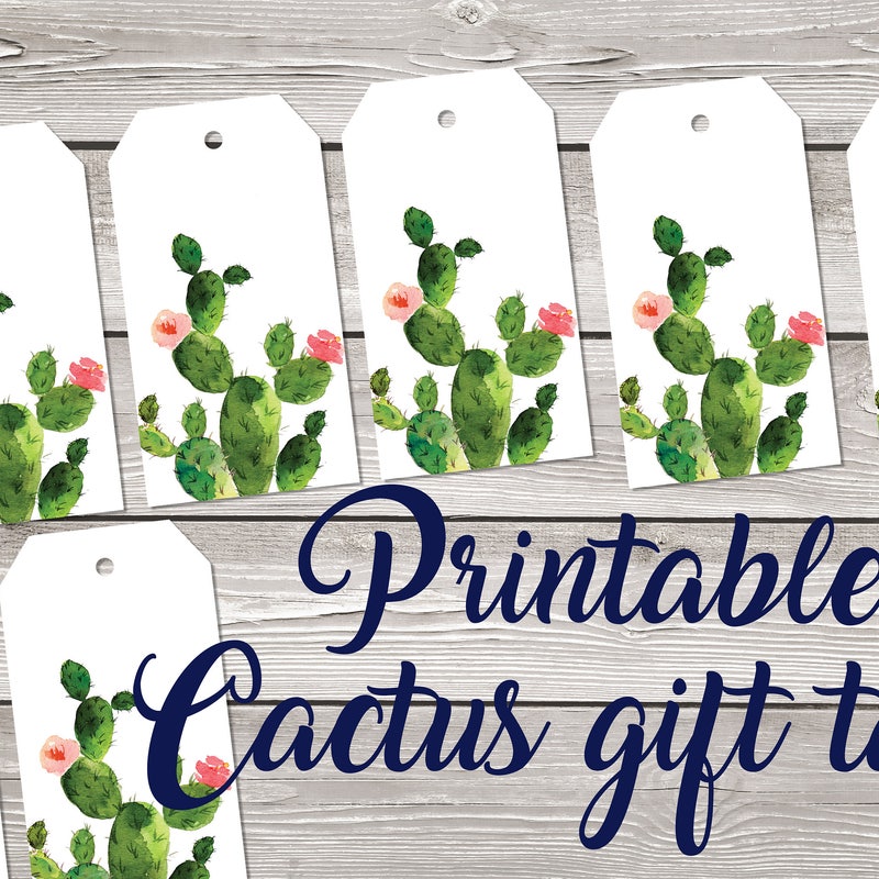 Cactus Gift - 60+ Gift Ideas for 2025