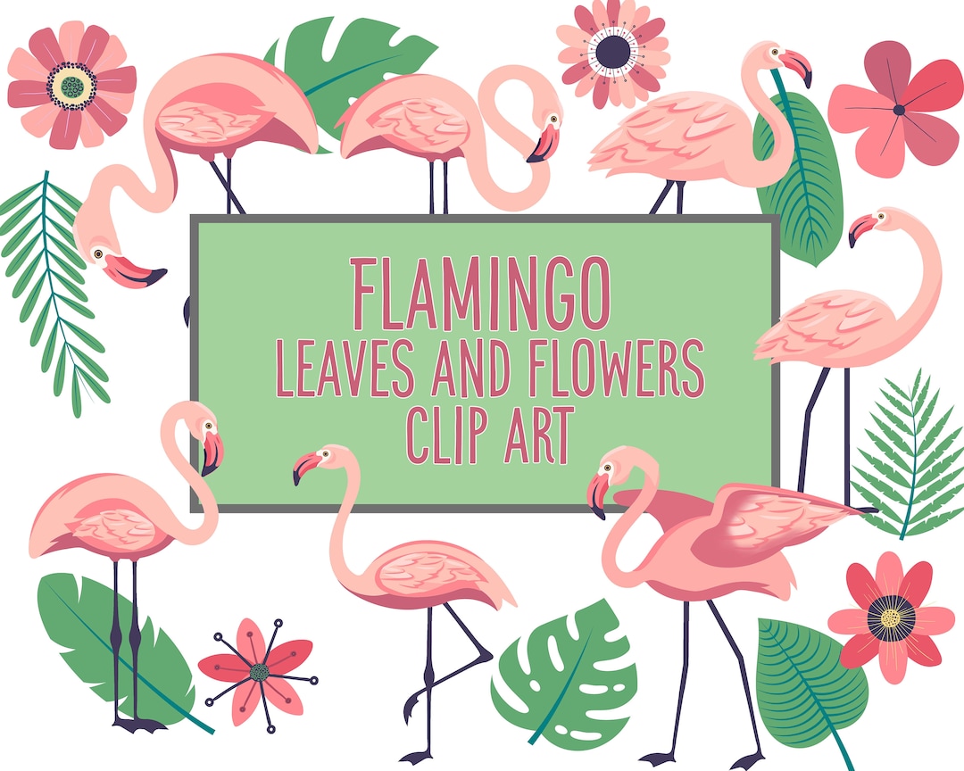 Flamingo Tropical Digital Clip Art Png Files Leaves Clip Art Monstera ...