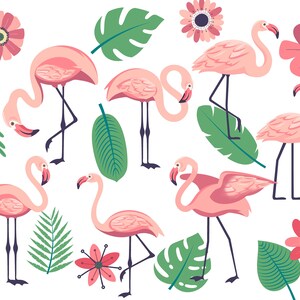 Flamingo Tropical Digital Clip Art Png Files Leaves Clip Art Monstera ...