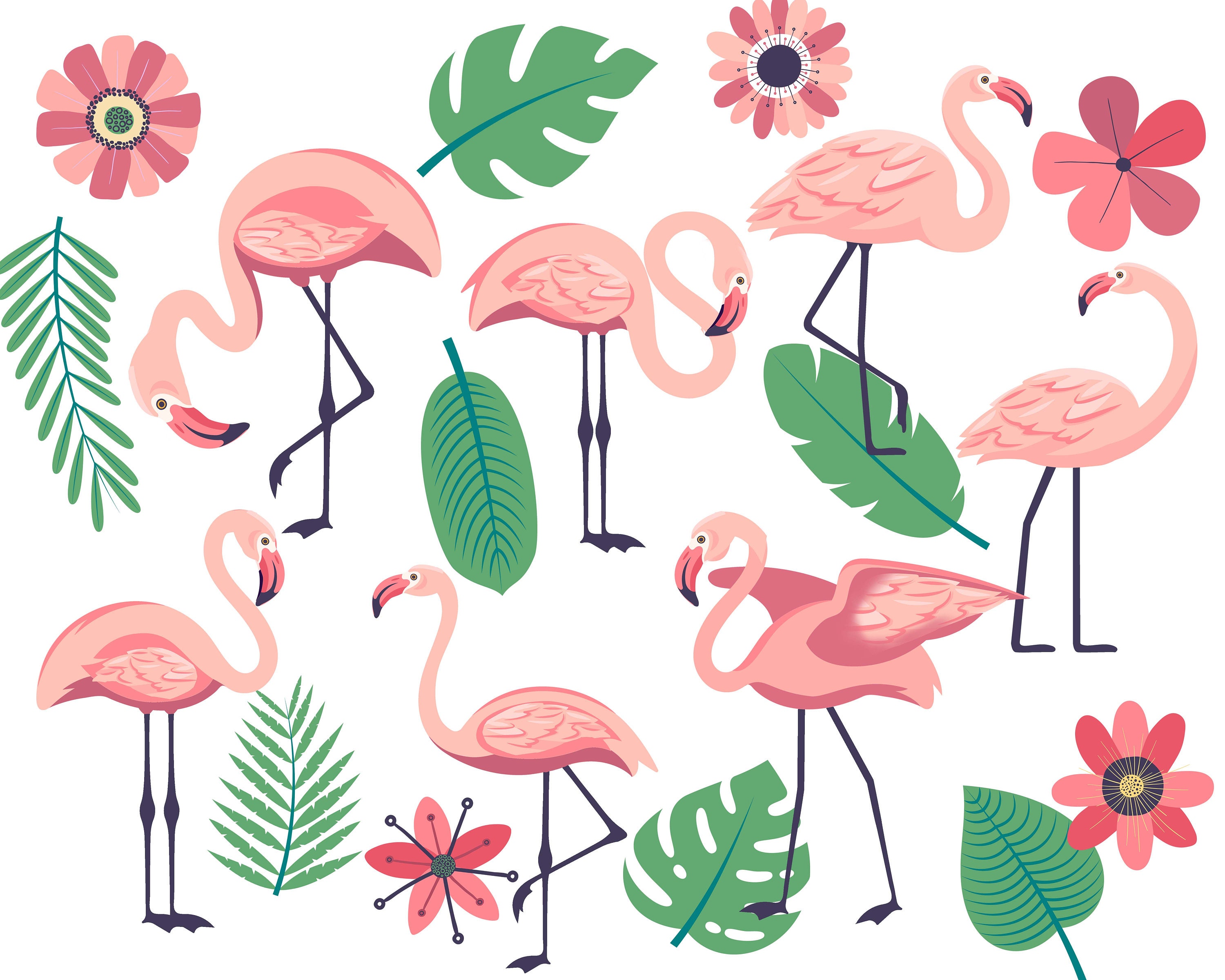 Flamingo Tropical Digital Clip Art Png Files Leaves Clip Art - Etsy