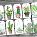 Botanical Cacti Gift Tags Printable Botanical Cards Cactus Succulent ...