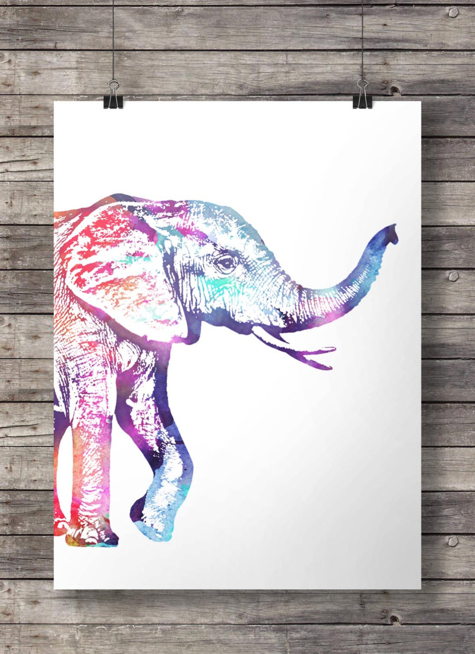 Watercolor Rainbow Animals | Set of 3 | Zebra Giraffe Elephant - Etsy