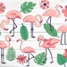 Flamingo Tropical Digital Clip Art Png Files Leaves (Instant Download ...