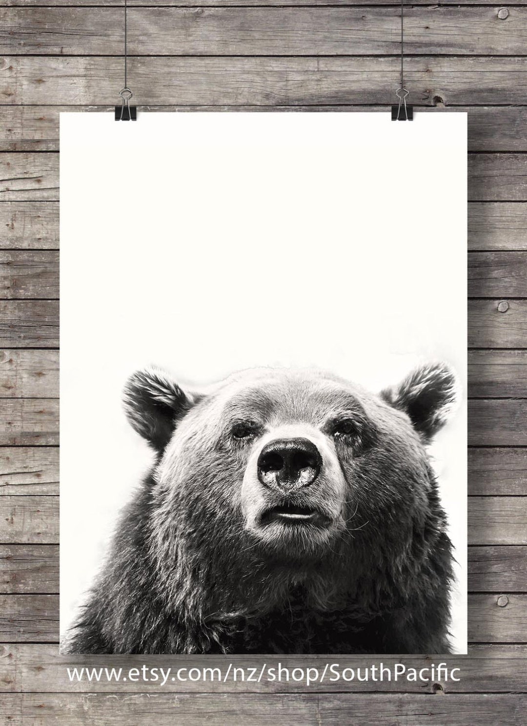 Bear Art Print Bear Face Printable Art Sepia Bear Photo - Etsy
