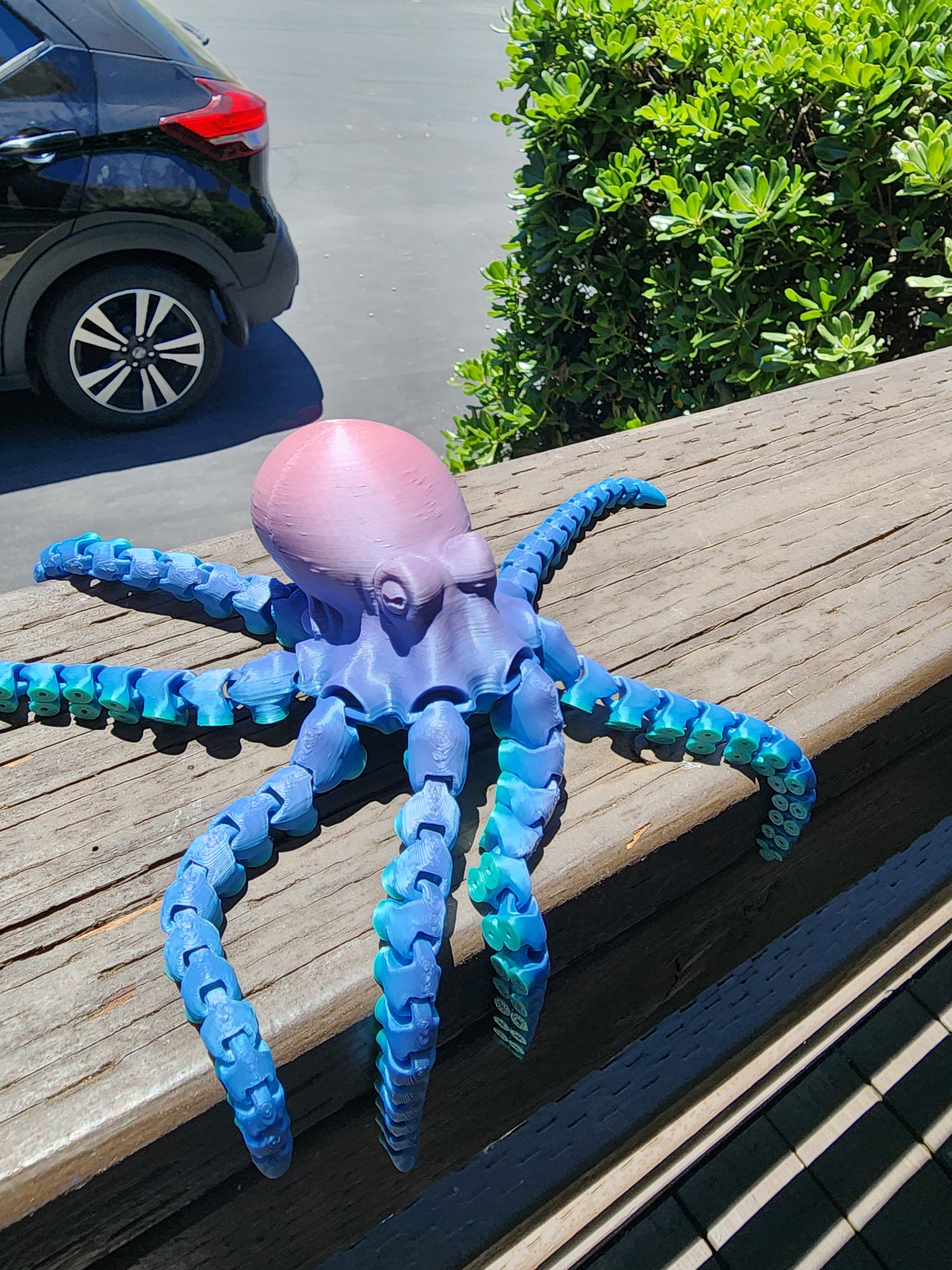 Flexi Octopus Sensory Toy Figurine - Etsy