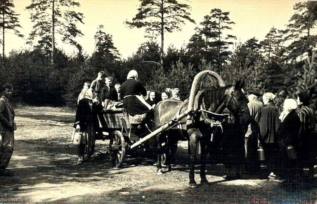 Rare Old Photo Rural Life People Cart Road Home Vintage Photo 1961 ...