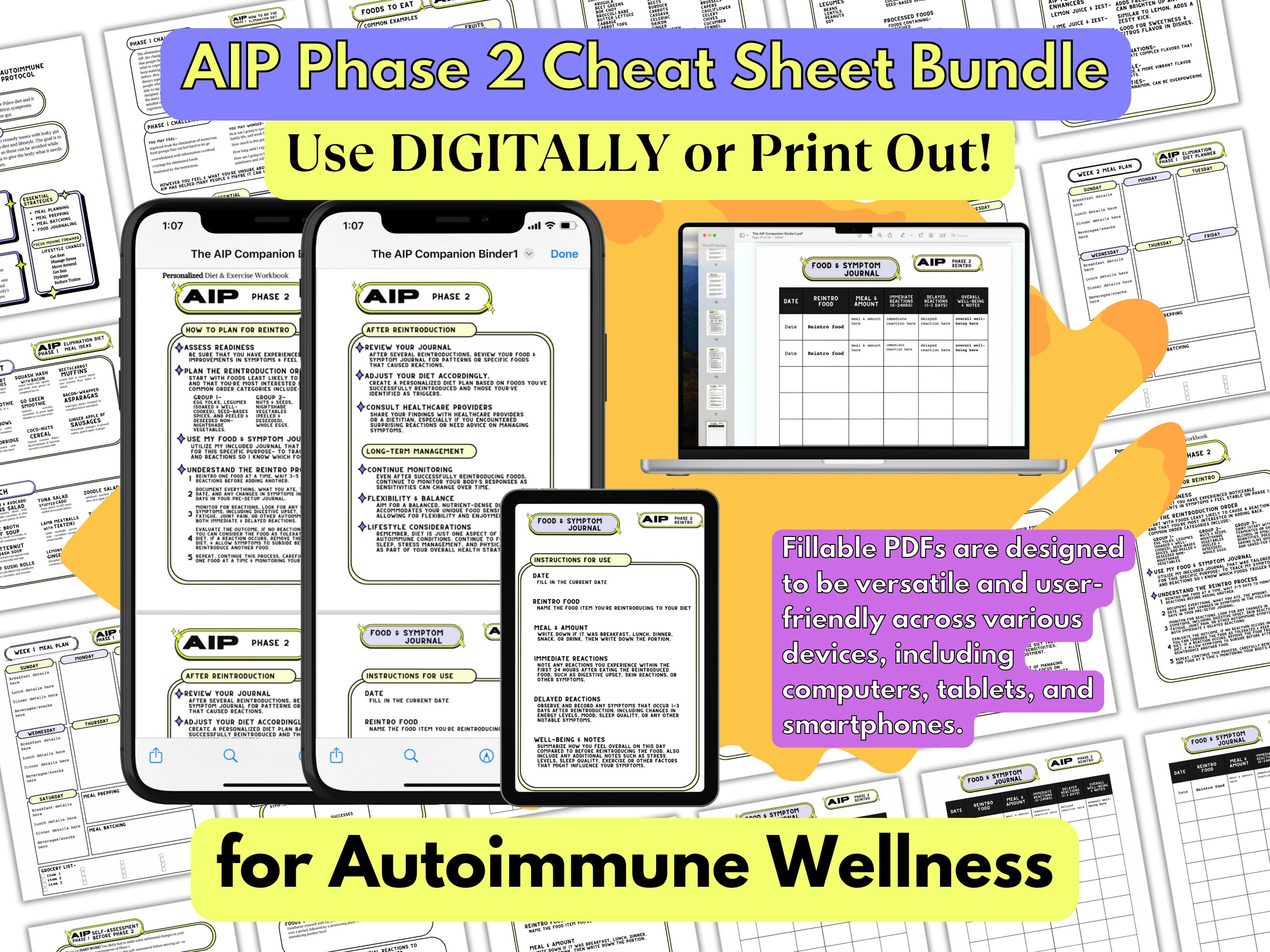 AIP Phase 2 Cheat Sheet Bundle for Autoimmune Wellness on the ...
