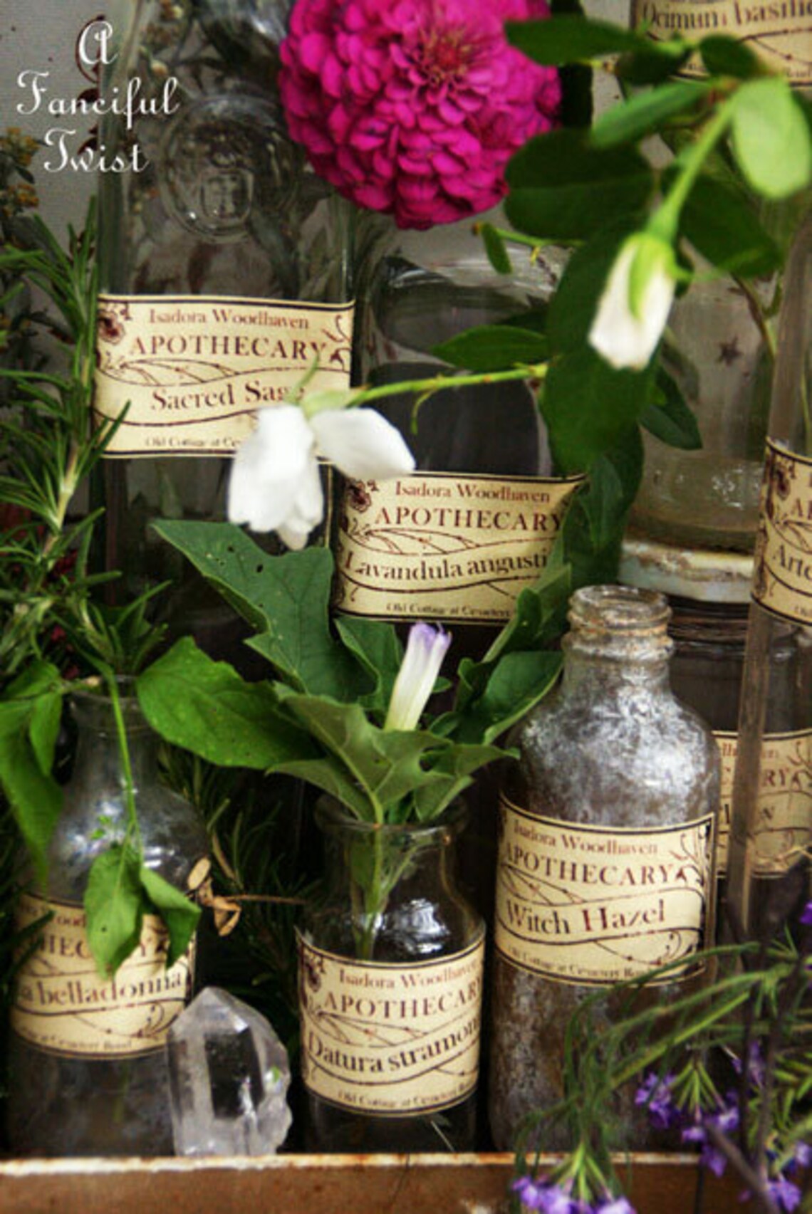 15 Herb Spell & Potion Labels Isadora Woodhaven Apothecary - Etsy