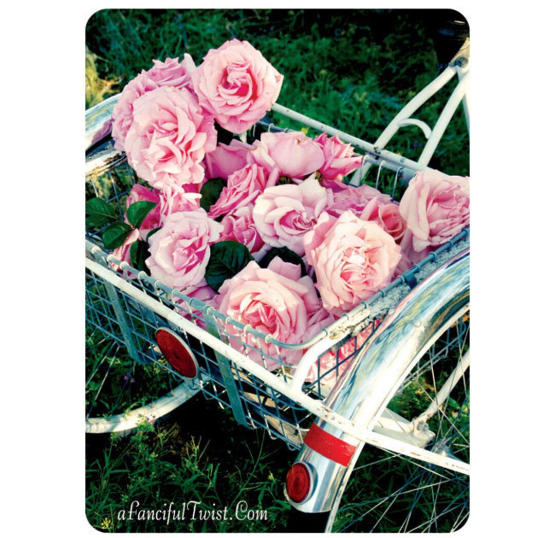 Roses - 5- Postcard Set - Etsy