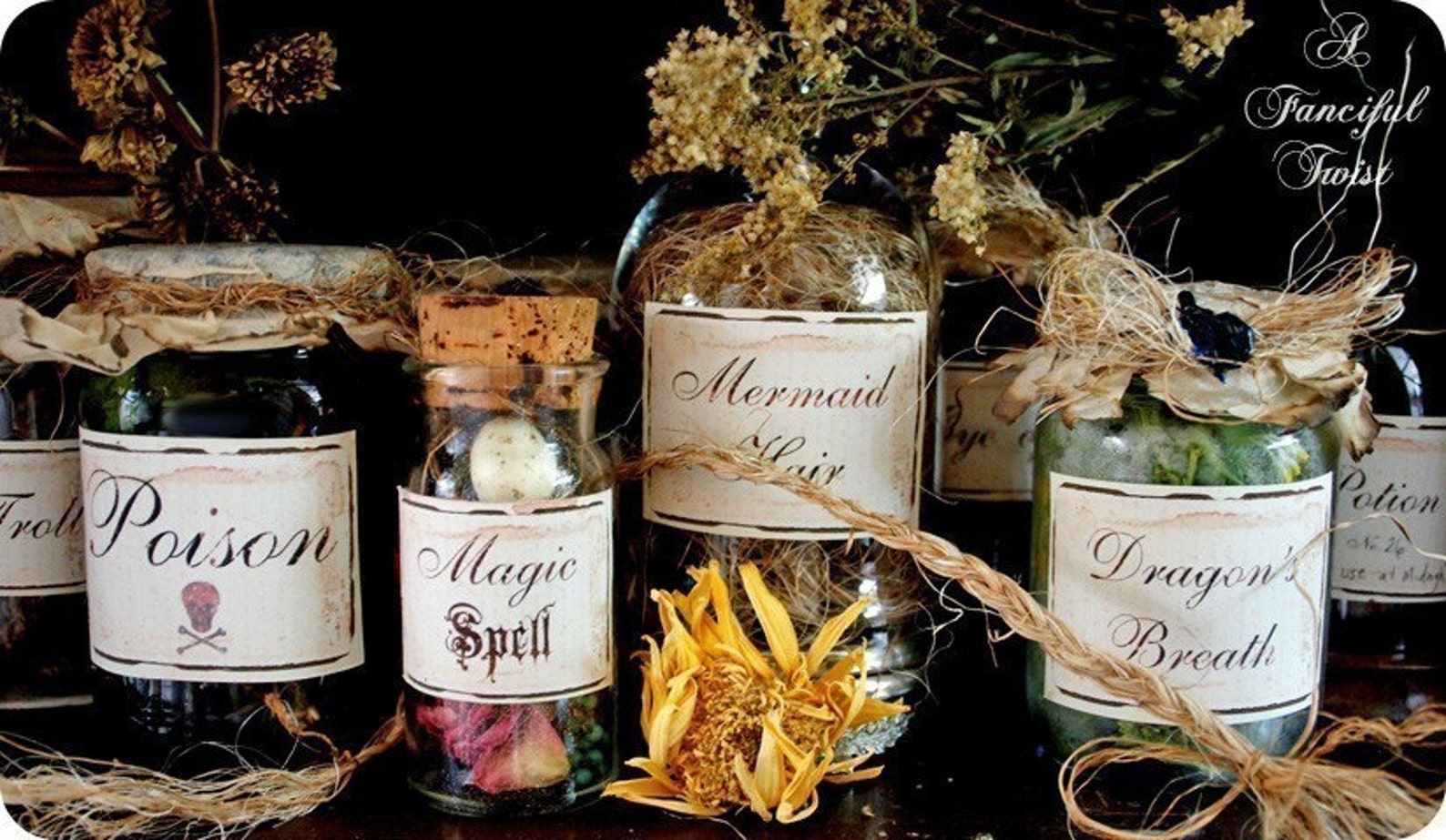 Potions and Spells Enchantment Set 10 Ingredient | Etsy