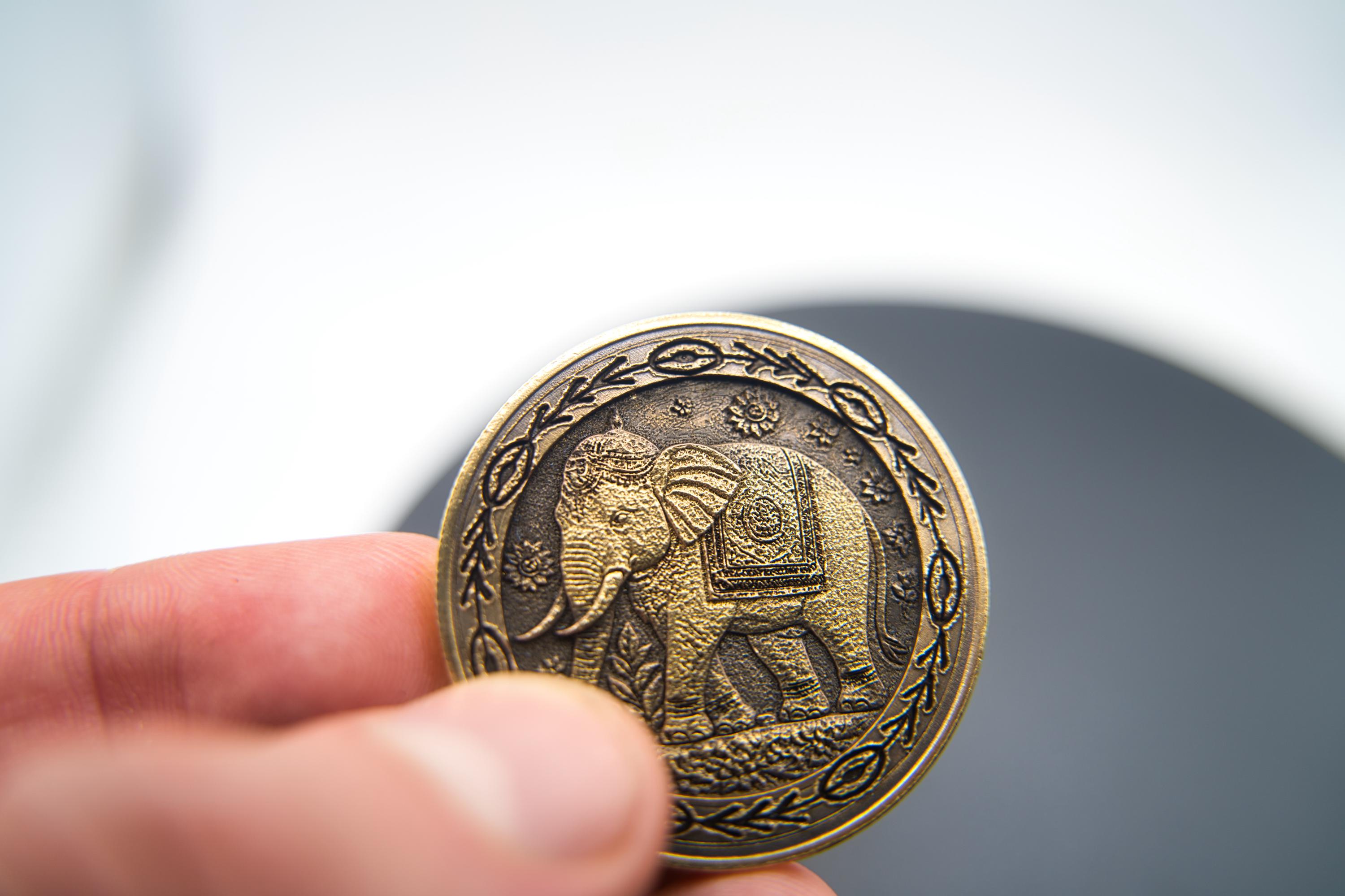 Enchanted Elephant Brass Coin: Lucky Collectible Piece - Etsy