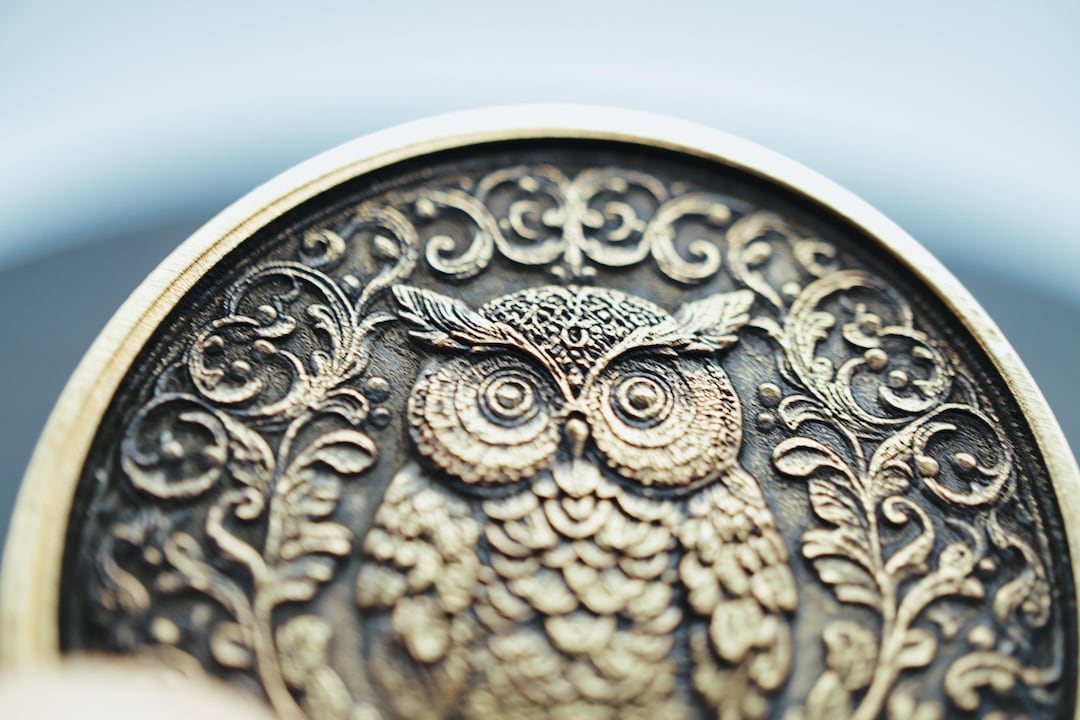 Owl Challenge Coin Brass Coin - Unique Keepsake Gift - Intricate ...