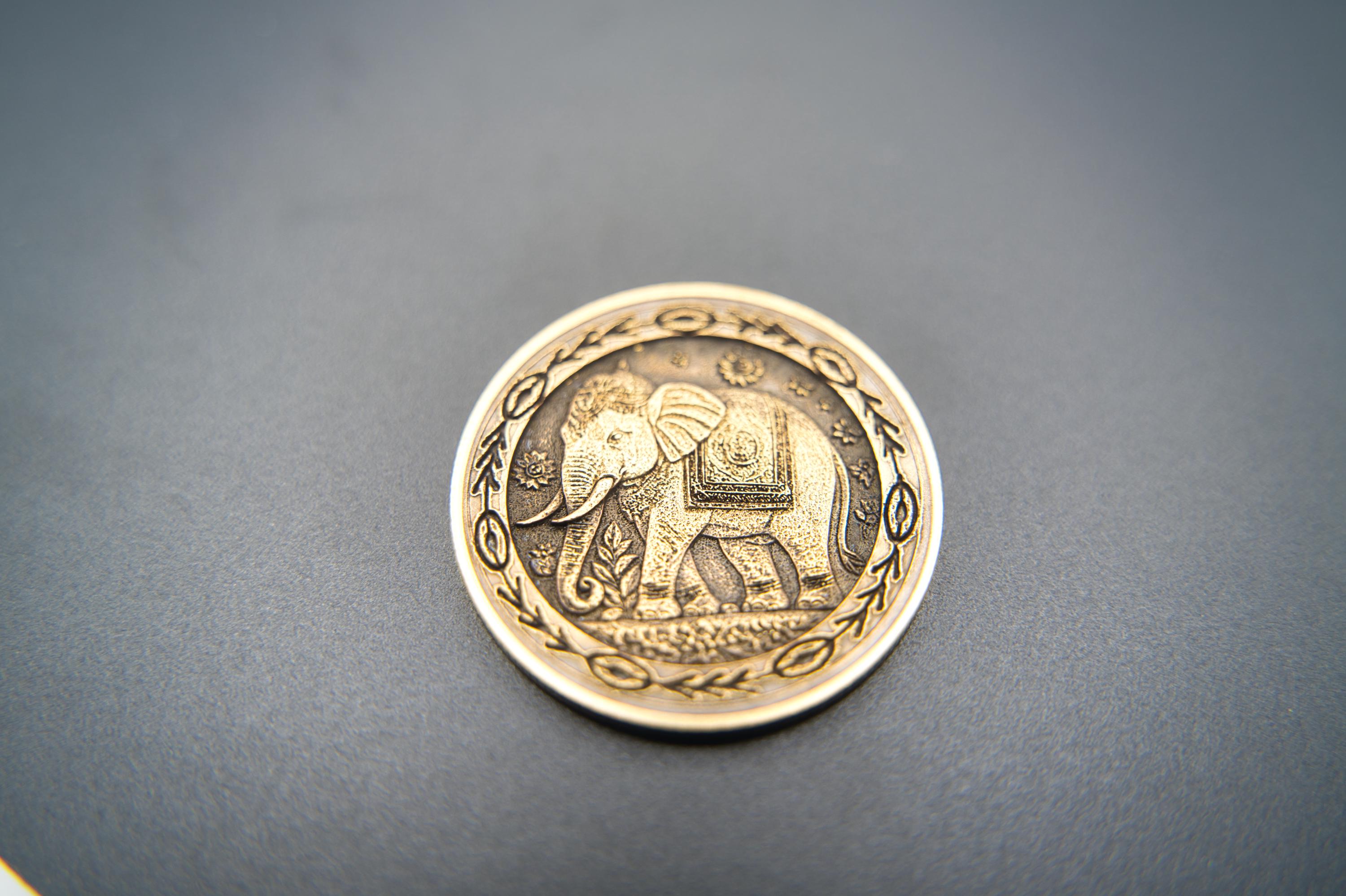 Enchanted Elephant Brass Coin: Lucky Collectible Piece - Etsy