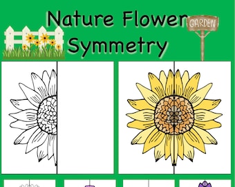 Interactive Symmetry Drawing Activity: Explore Grassland Insects ...