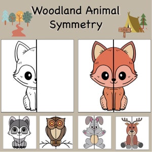 Interactive Symmetry Drawing Activity: Explore Woodland Animals ...