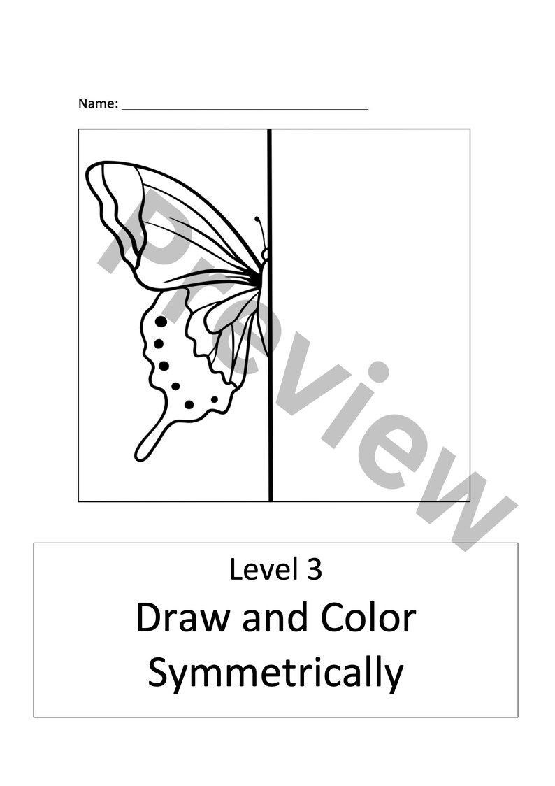 Interactive Symmetry Drawing Activity: Explore Grassland Insects - Engaging & Educational Math ...
