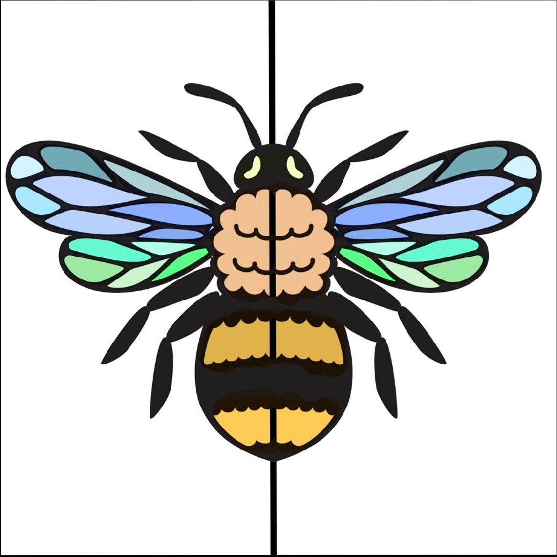 Interactive Symmetry Drawing Activity: Explore Grassland Insects ...