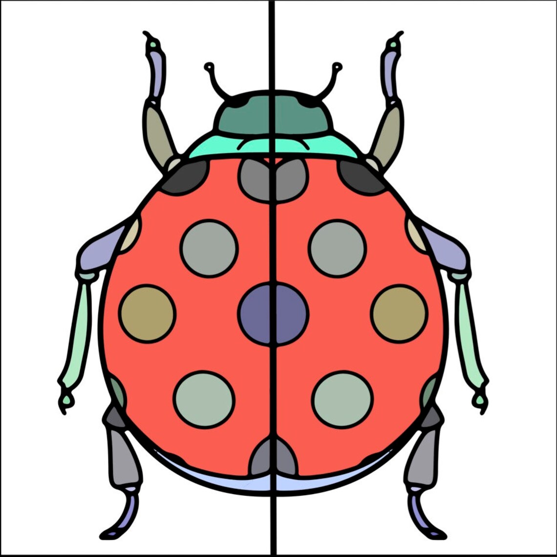 Interactive Symmetry Drawing Activity: Explore Grassland Insects ...