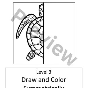 Interactive Aquatic Animals Lines of Symmetry Drawing Activity ...