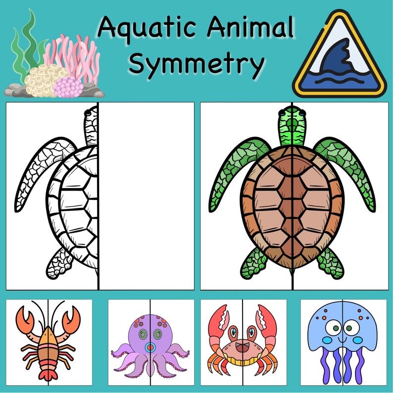 Interactive Aquatic Animals Lines of Symmetry Drawing Activity ...