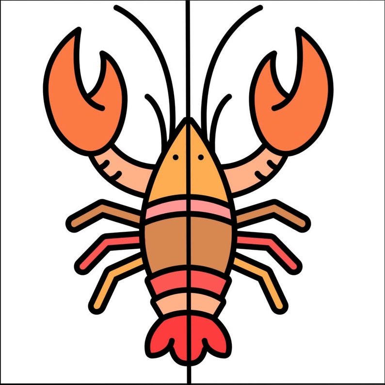 Interactive Aquatic Animals Lines of Symmetry Drawing Activity ...