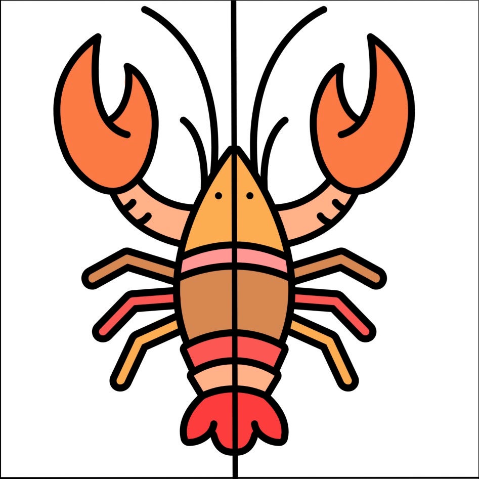 Interactive Aquatic Animals Lines of Symmetry Drawing Activity ...