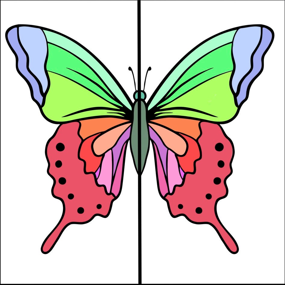Interactive Symmetry Drawing Activity: Explore Grassland Insects ...
