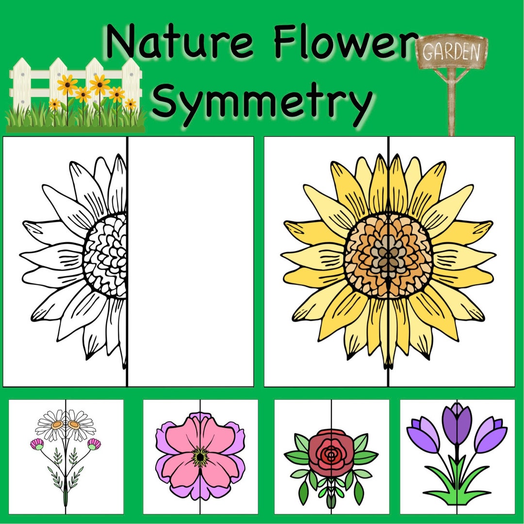 Interactive Symmetry Drawing Activity: Explore Nature's Flowerss ...