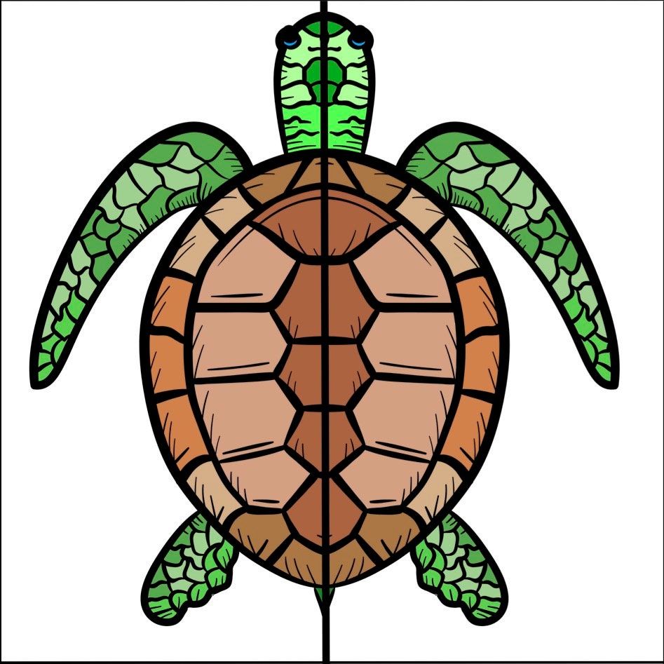Interactive Aquatic Animals Lines of Symmetry Drawing Activity ...