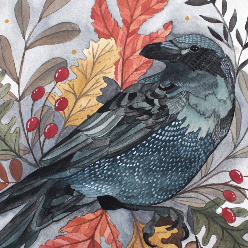 Crow Illustration - Etsy