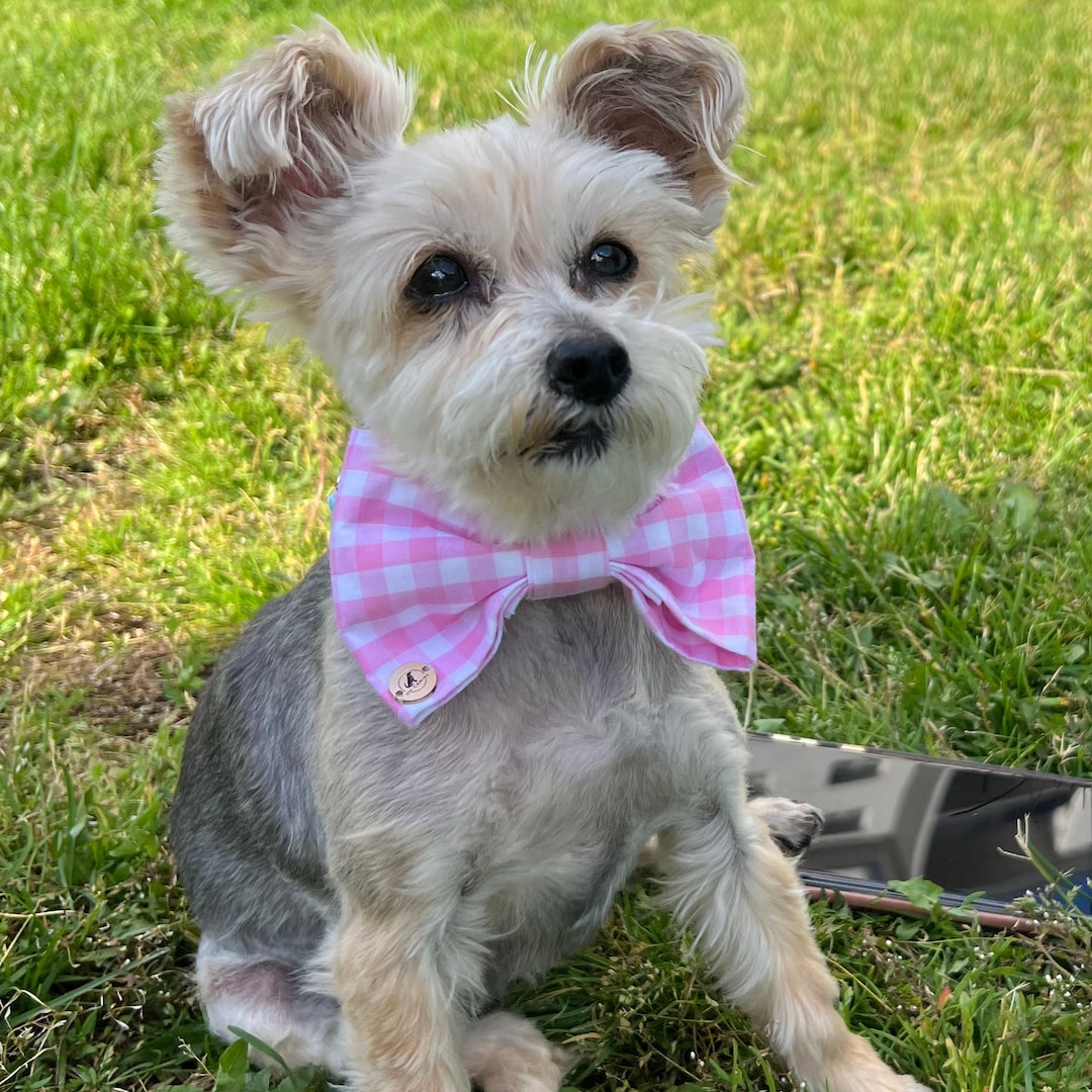 Bow Tie for Dog or Cat Clothing Accessories Pink Checkered Handmade ...
