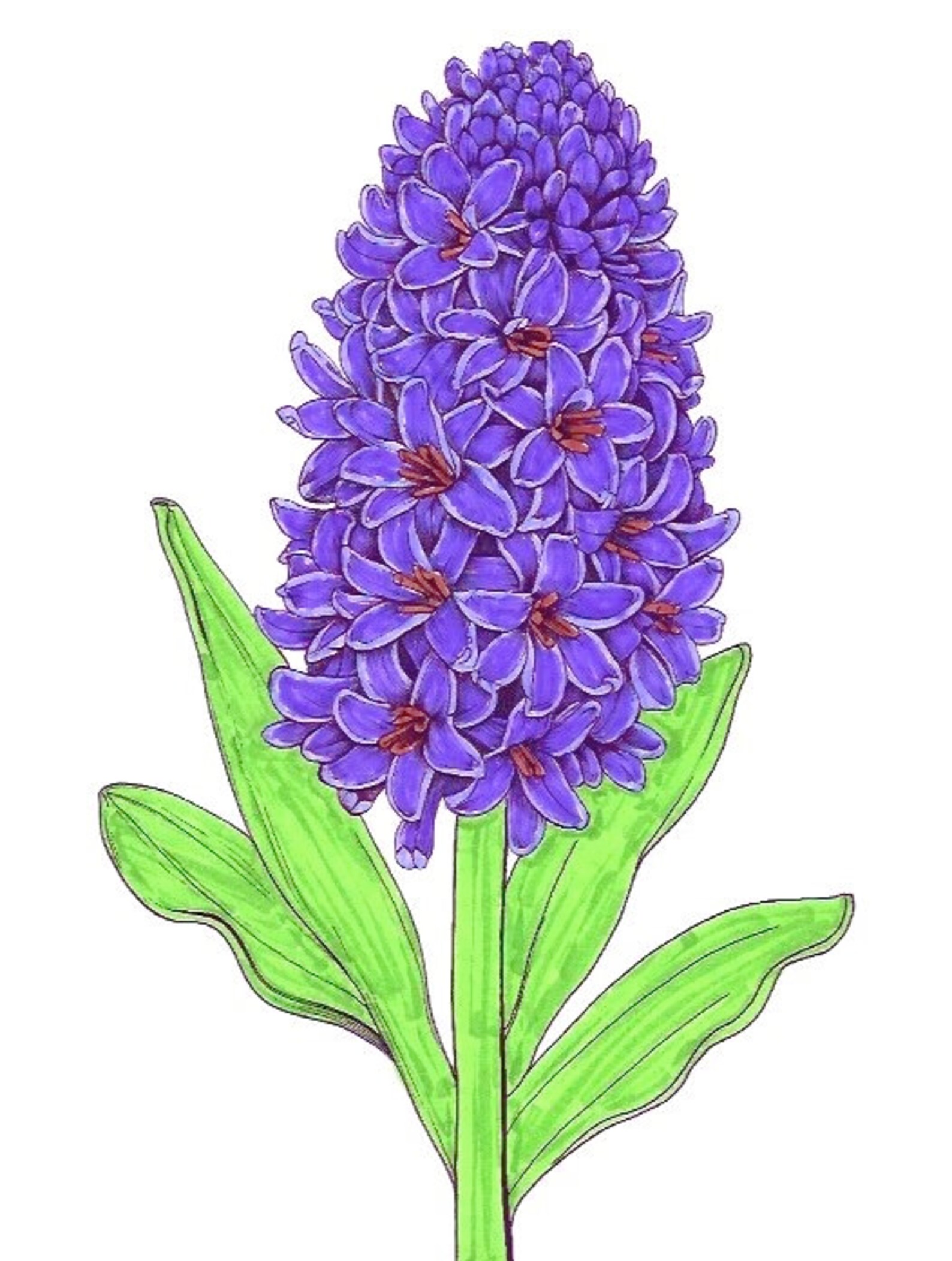 Handmade Floral Decor, Hyacinth Flower - Etsy