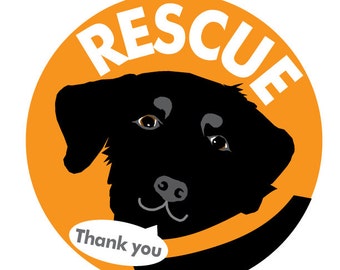 Adopt Bumper Sticker Black Labrador Retriever Dog - Etsy