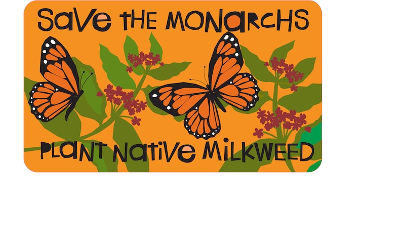 Monarch Bumper Sticker - Etsy
