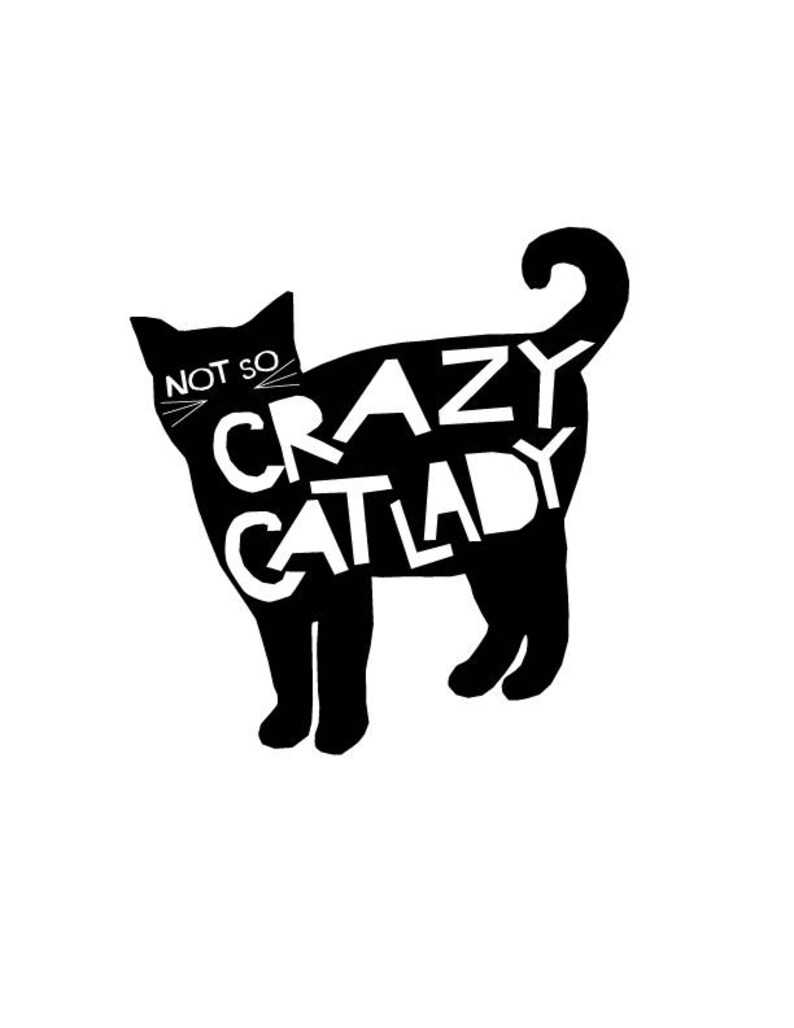 Not so Crazy Cat Lady Bumper Sticker Black Cat - Etsy